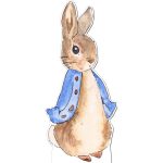 Peter Rabbit Cut Out - Party Splendour